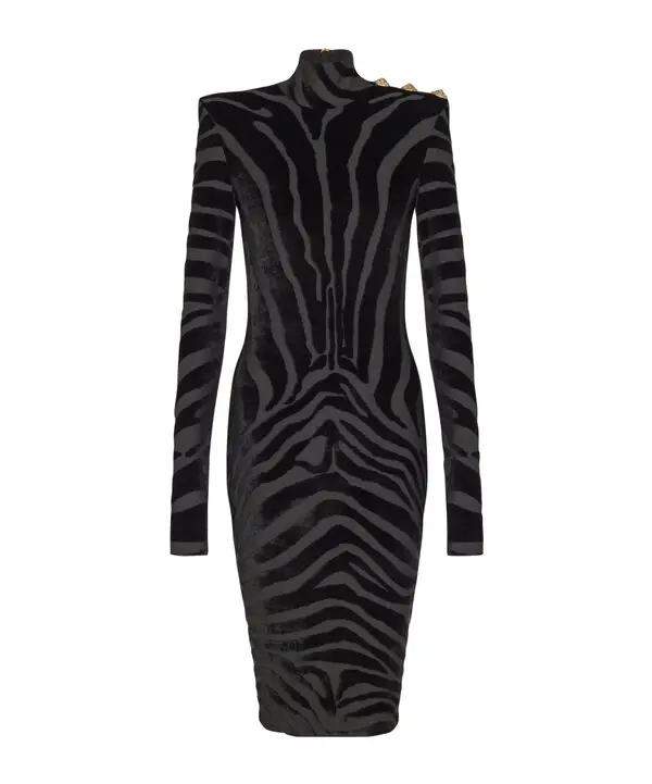 Balmain Zebra-print Velvet Mini Dress