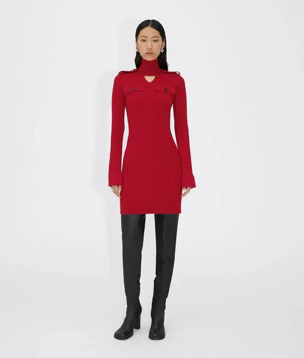 Bottega Veneta Cut-out Triangle Fitted Dress