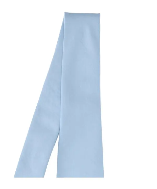 Auralee Pointed Tie - Blue