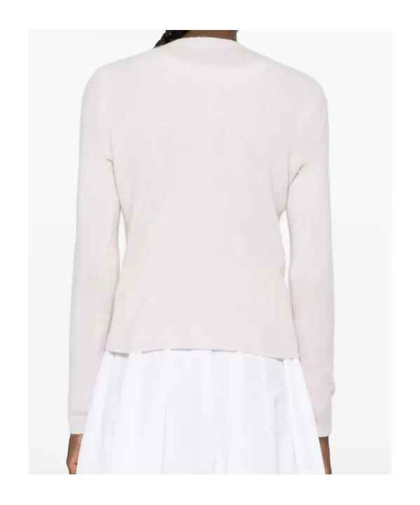 Co Crewneck Sweater In Cashmere Silk