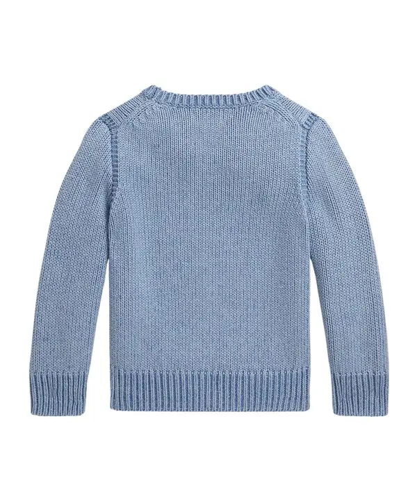 Polo Ralph Lauren Crew Neck Knitted Sweater - Blue