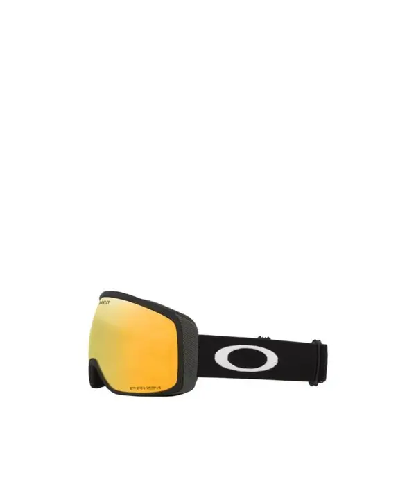 Oakley Ski Goggles