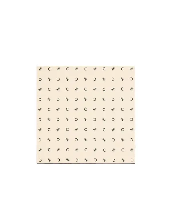 Celine Silk Twill Scarf With Print - Vanilla/black