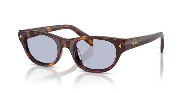 Prada Oval Frame Sunglasses - Multi-color