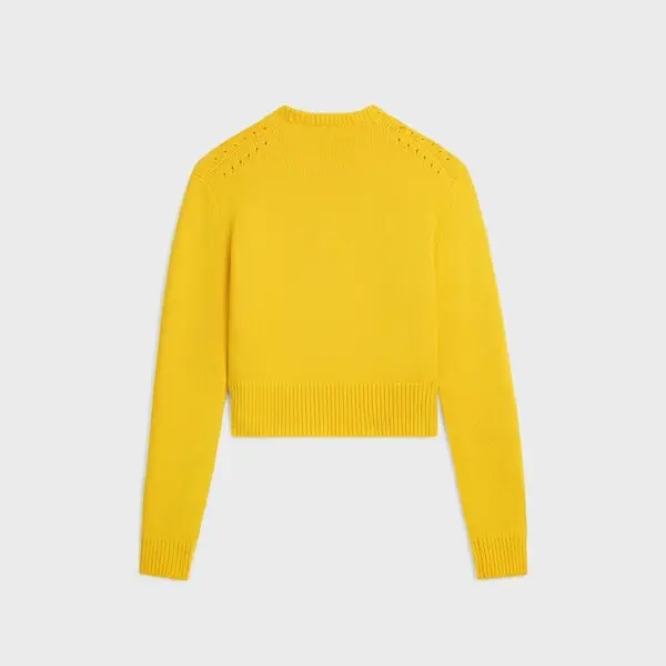 Celine Crewneck Sweater In Cashmere