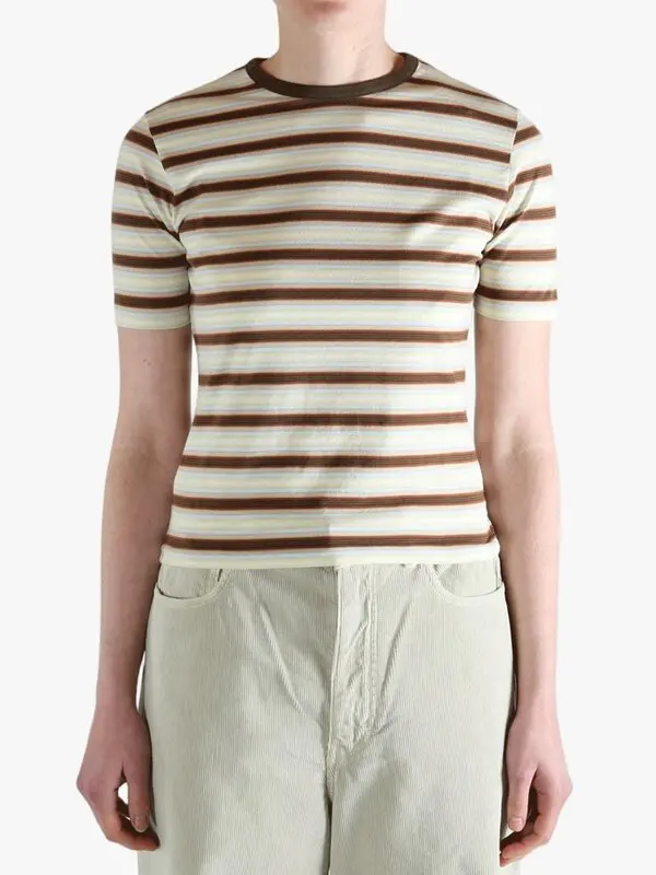 Auralee Gradient Stripe Jersey T-shirt - Multi-color