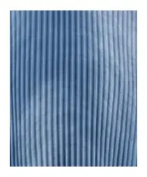 Ermanno Scervino Pleated Maxi Skirt With Denim Print