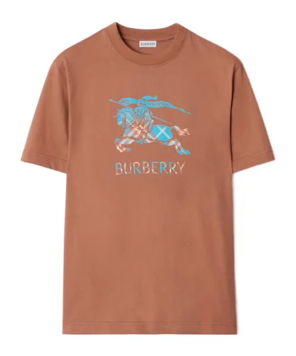 Burberry Ekd Ombré Crewneck T-shirt - Ginger Brown