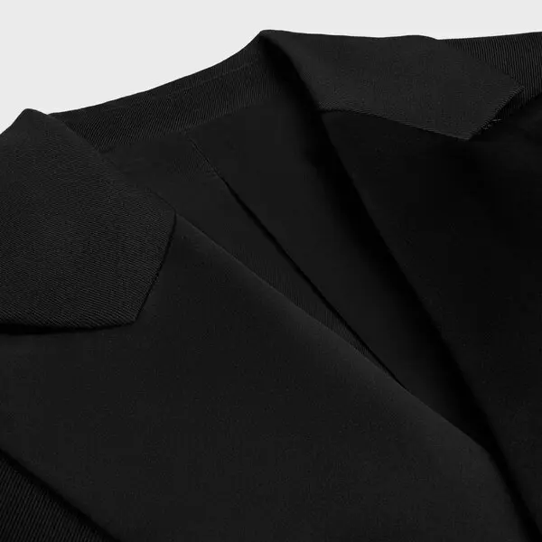 Celine Colonne Tux Jacket In Wool And Mohair Gabardine