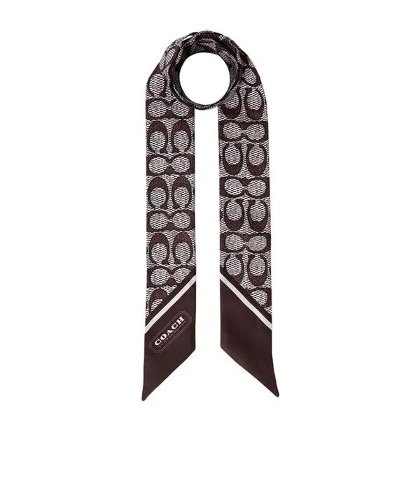 COACH Pointed Silk Scarf