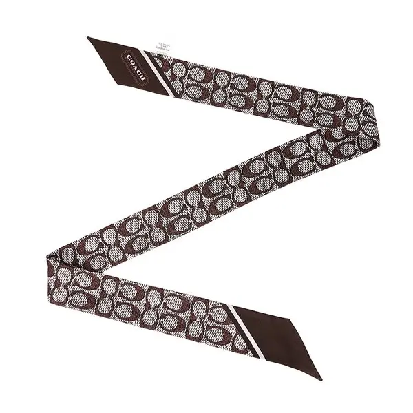 COACH Pointed Silk Scarf