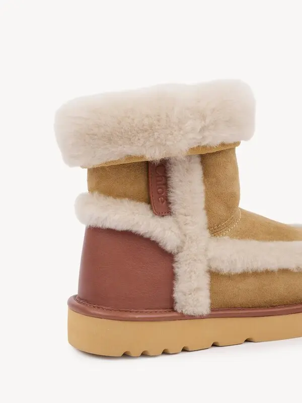 Chloé Dolcie Ankle Boots - Nude