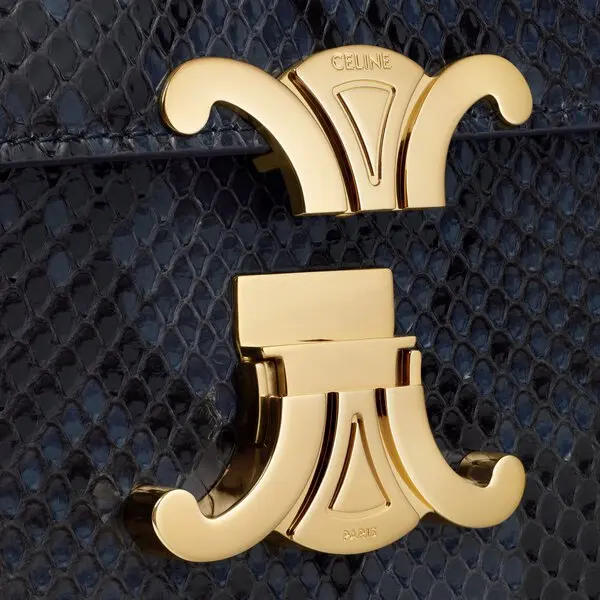 Celine Classique Triomphe Bag In Python