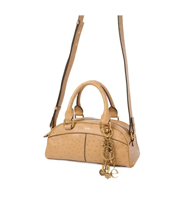 Chloé Logo Plaque Zip-up Small Bowling Bag - Bleached Brown