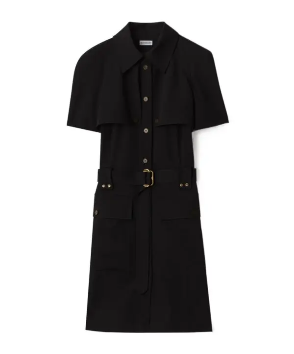 Burberry Belted Trench Dress
