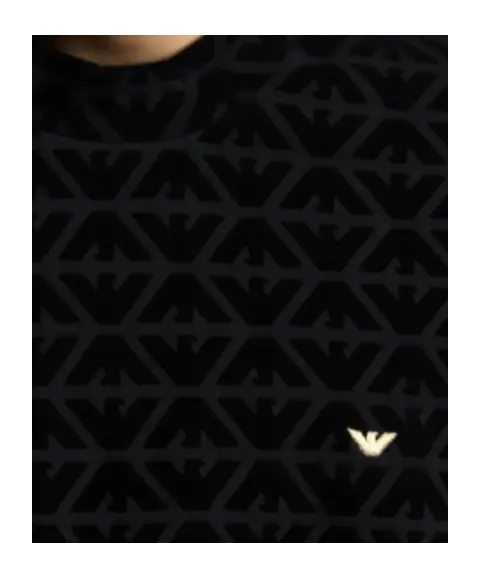 Emporio Armani Logo-embroidered Patterned Sweatshirt