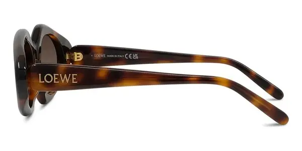 Loewe Geometric Frame Sunglasses - Brown