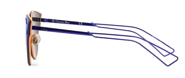 Dior Logo Sunglasses