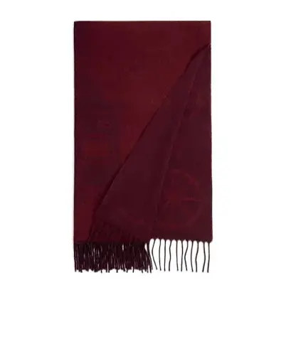 COACH Horse And Carriage Print Oversized Muffler - Brown