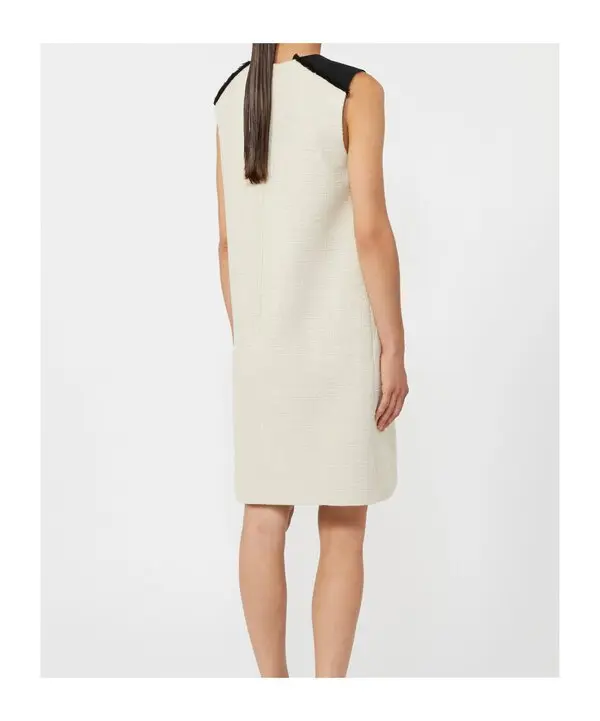 Max Mara Sleeveless Zip Up Mini Dress With Fringed Passementerie - Beige
