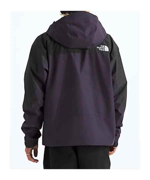 The North Face Paneled Hooded Jacket