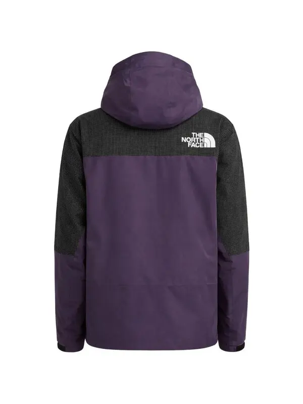 The North Face Paneled Hooded Jacket