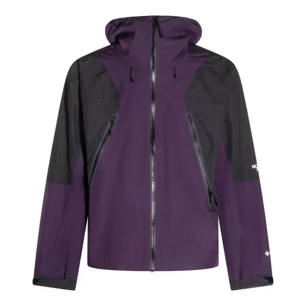 The North Face Paneled Hooded Jacket - No