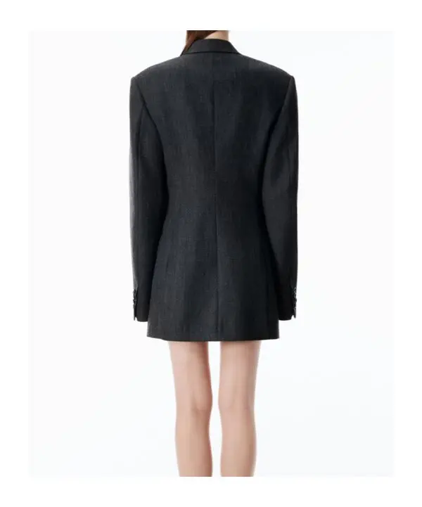 Alexander Wang Double-breasted Fitted Blazer Dress