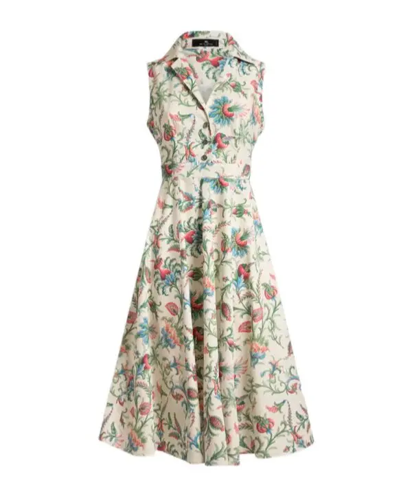 Etro Sleeveless V-neck Dress With Floral Print And Ruffles
