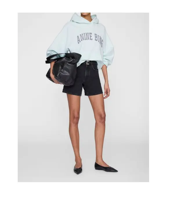 ANINE BING Harvey Hoodie - Spring Mint