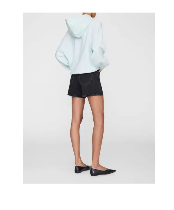 ANINE BING Harvey Hoodie - Spring Mint