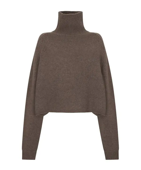LISA YANG Roll-neck Long-sleeve Cropped Sweater - Brown