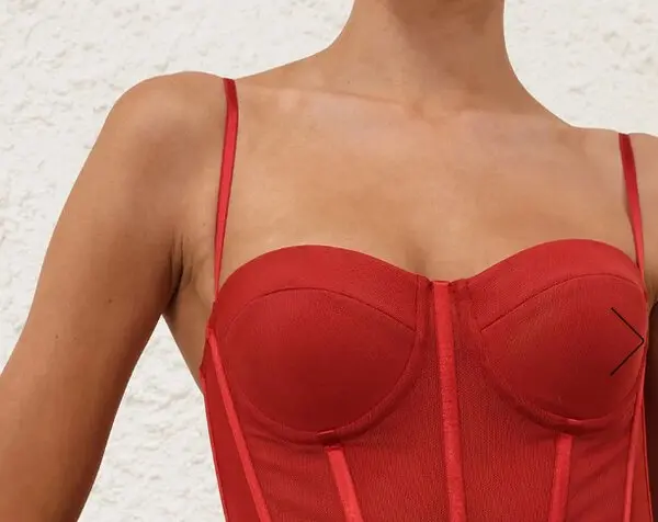 Zimmermann Rebellion Corset Bodysuit