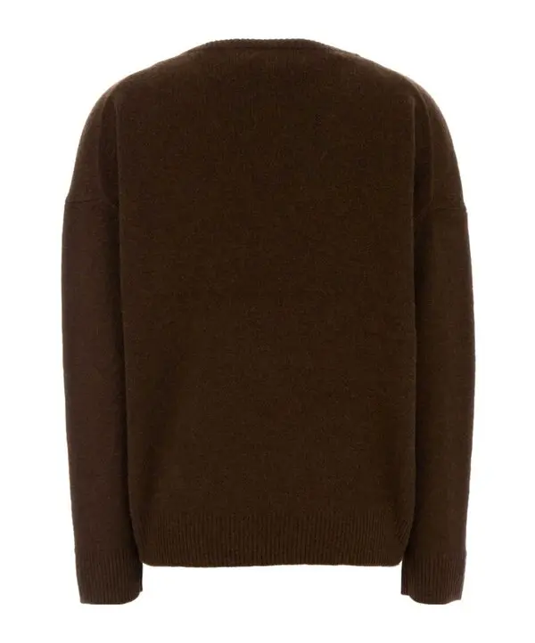 Co V-neck Long Sleeve Knitted Sweater - Brown
