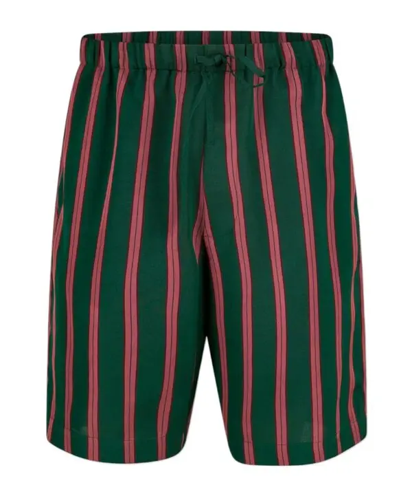 Dries Van Noten Striped Drawstring Shorts - Green