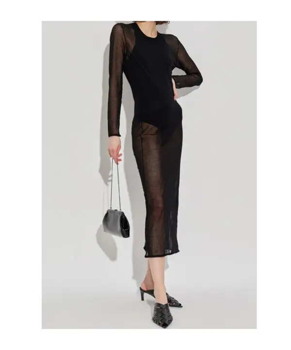IRO PARIS Long Sleeve Sheer Dress
