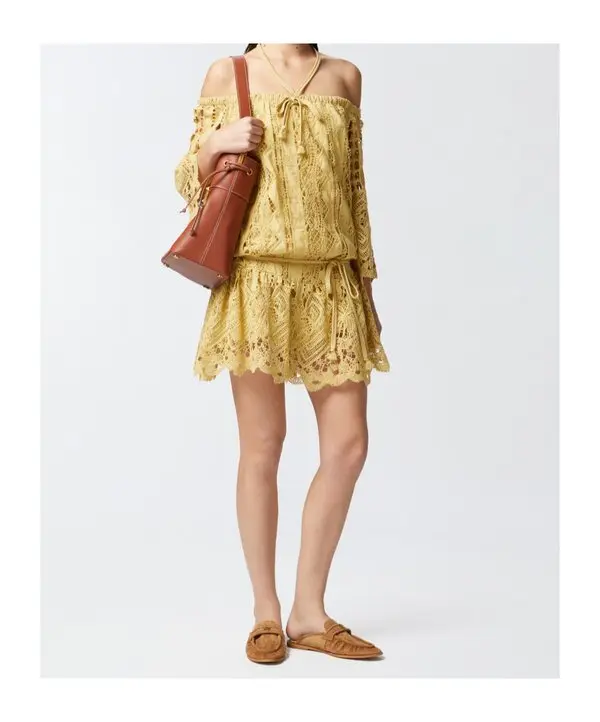 Pinko Off-the-shoulder Lace Mini Dress