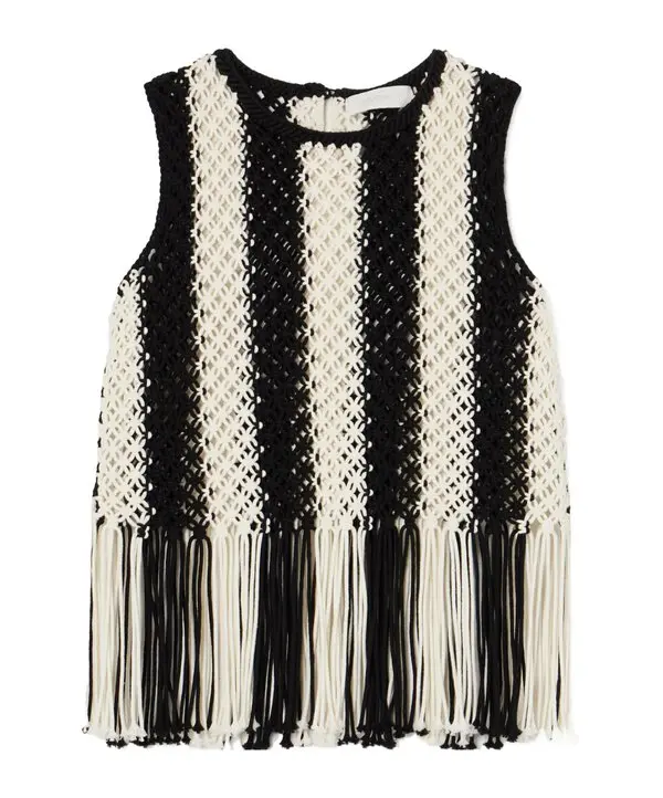 Zimmermann Wanderlust Fringed Striped Top