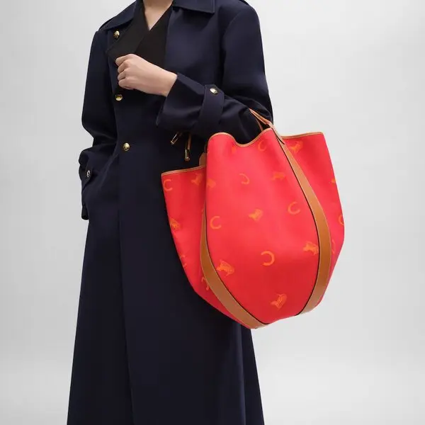 Celine Large Drop Bucket Bag In Jacquard C Sulky Textile - Red/orange