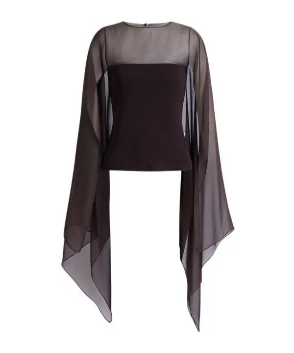 Alberta Ferretti Sheer Cape-sleeved Top - Brown