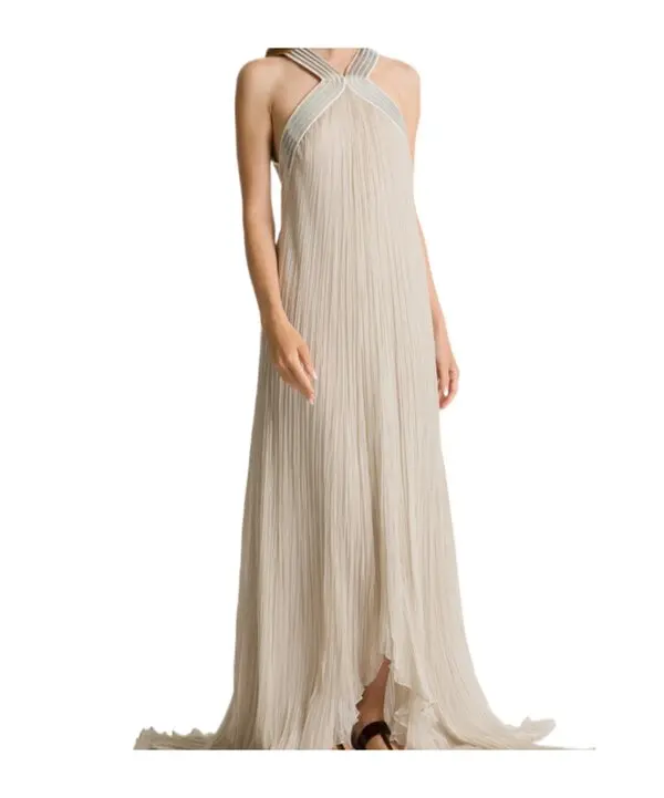 Alberta Ferretti Plissé Metallic Embroidered Collar Chiffon Gown