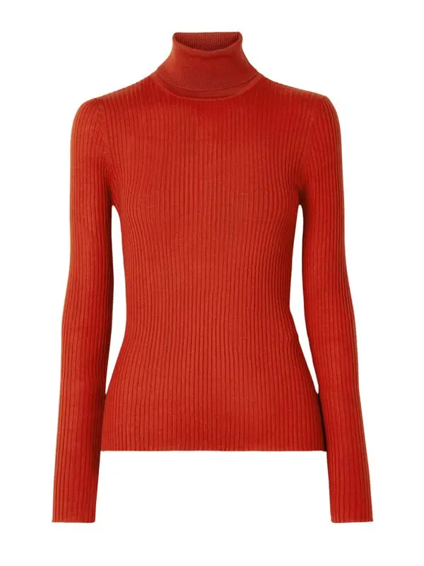 Gabriela Hearst Long Sleeve Ribbed High Neck Sweater