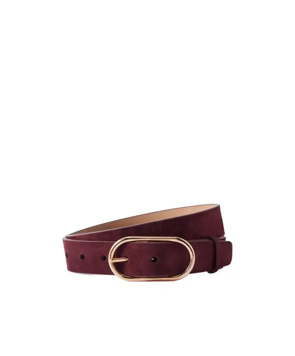 Gabriela Hearst Suede Belt With Gold-tone Buckle - Multicolor