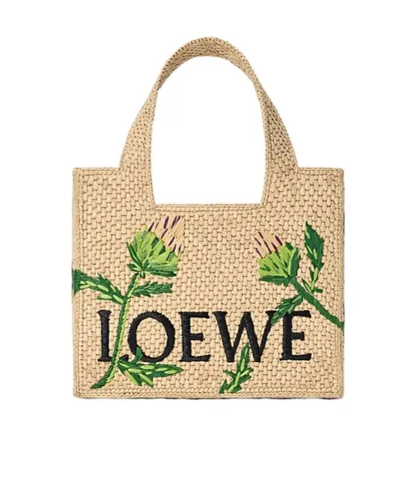Loewe Woven Top Handle Bag With Embroidered Detail - Nude