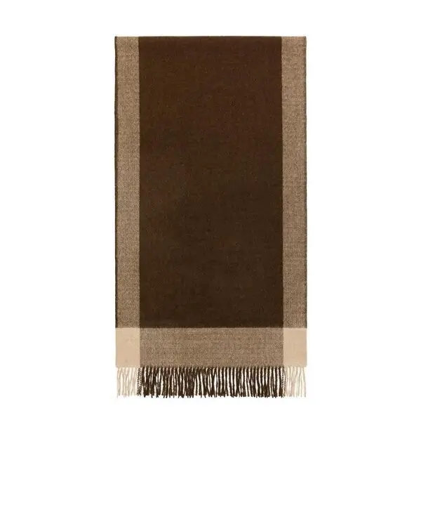 Max Mara Checkered Fringed Scarf - Brown