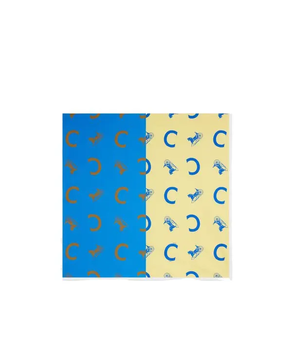 Celine Square In Silk Twill - Blue