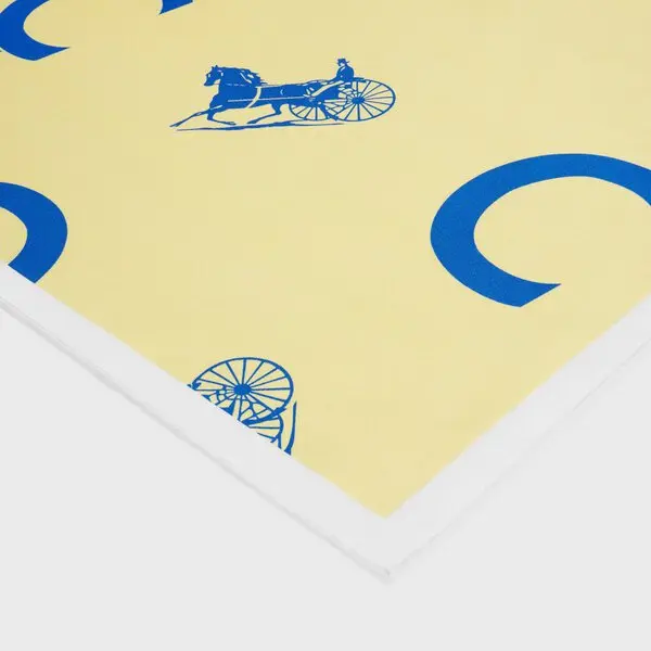 Celine Square In Silk Twill - Blue