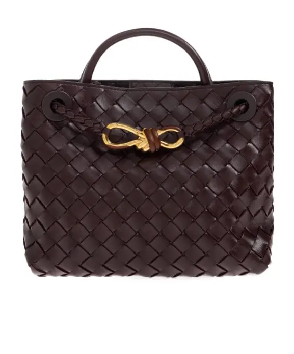 Bottega Veneta Andiamo Handbag - Brown