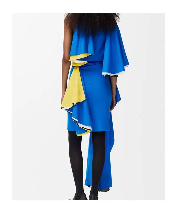 Loewe Asymmetrical Draped Dress With Printed Panel