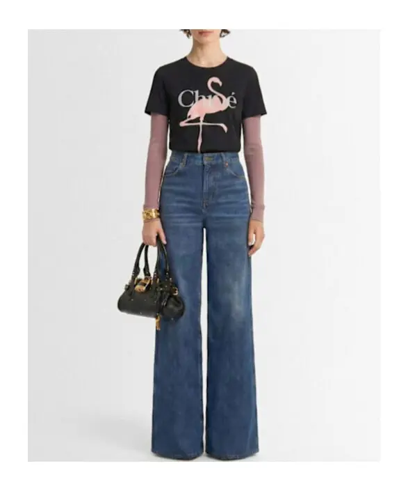 Chloé Cotton Jersey T-shirt With Flamingo Print - Black